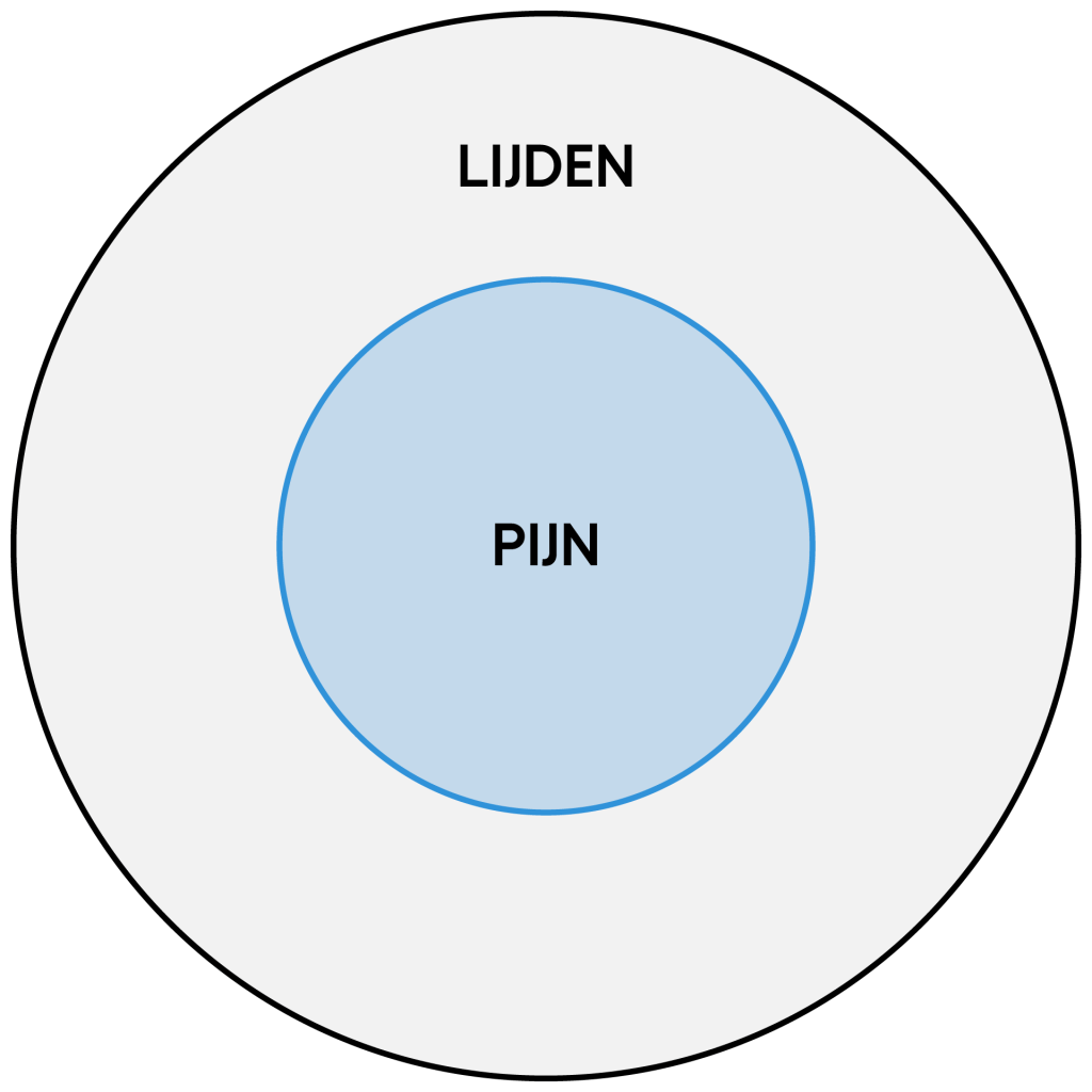 Wat is ACT? Een praktische inleiding voor therapeuten - Vlokhoven ...